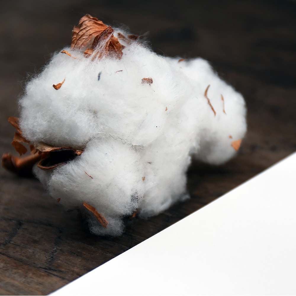 Pure Cotton Writing Paper - A5 set